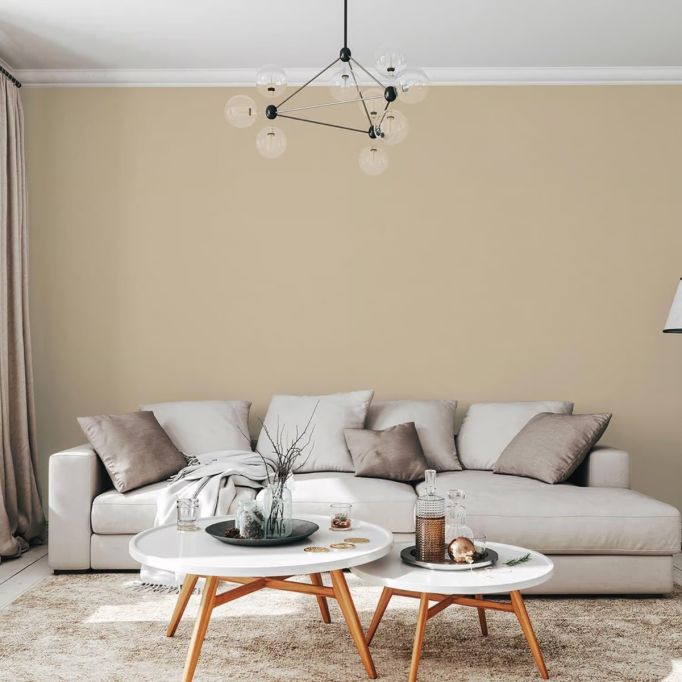 Rust-Oleum 380222 1gal Soft Beige Eggshell SURE COLOR Interior Wall Paint